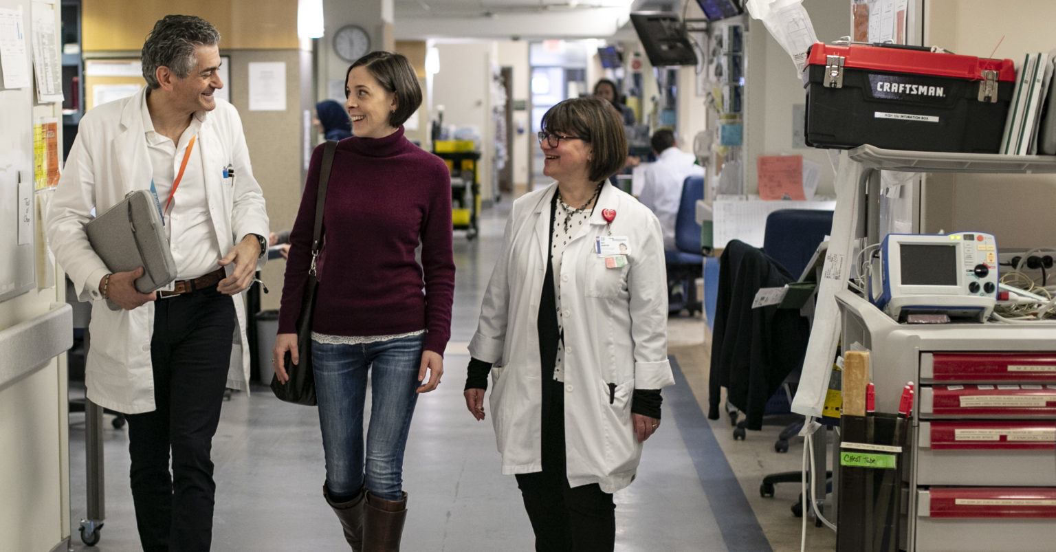 Star Recognition Program - Portrait of Dr. David Hornstein